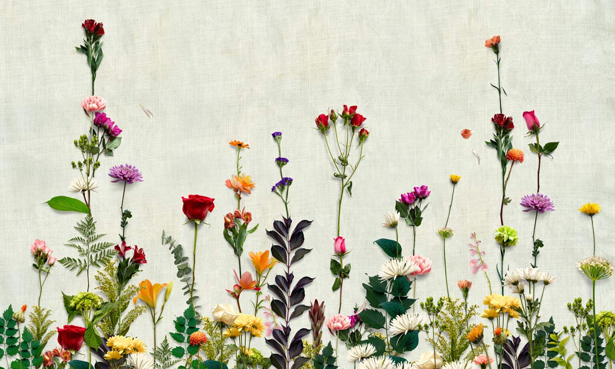 Colorful Botanical Garden Floral Mural Wallpaper | Ever Wallpaper ...