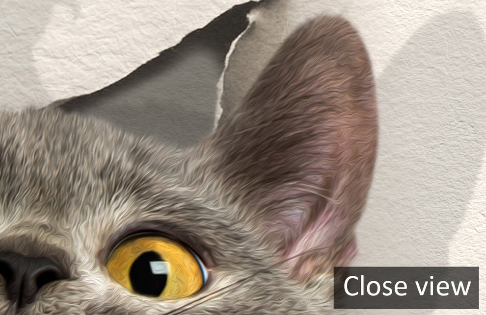 3D Playful Cat Mural Wallpaper | Ever Wallpaper – Everwallpaper