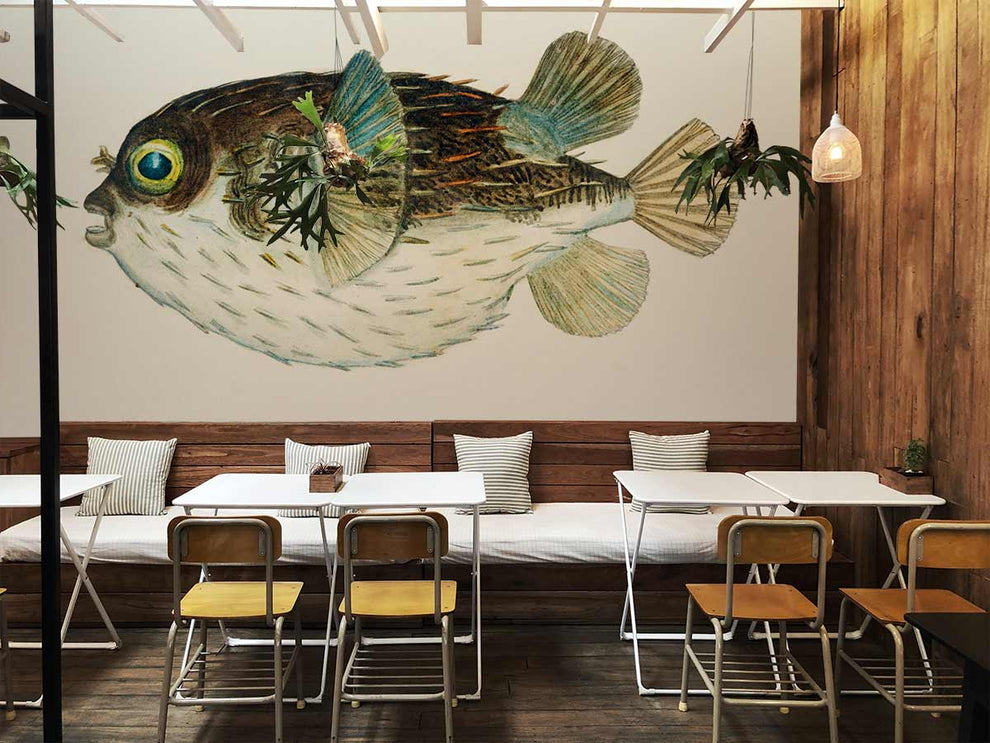 Vintage Nautical Fish Illustration Wallpaper Mural | Ever Wallpaper ...