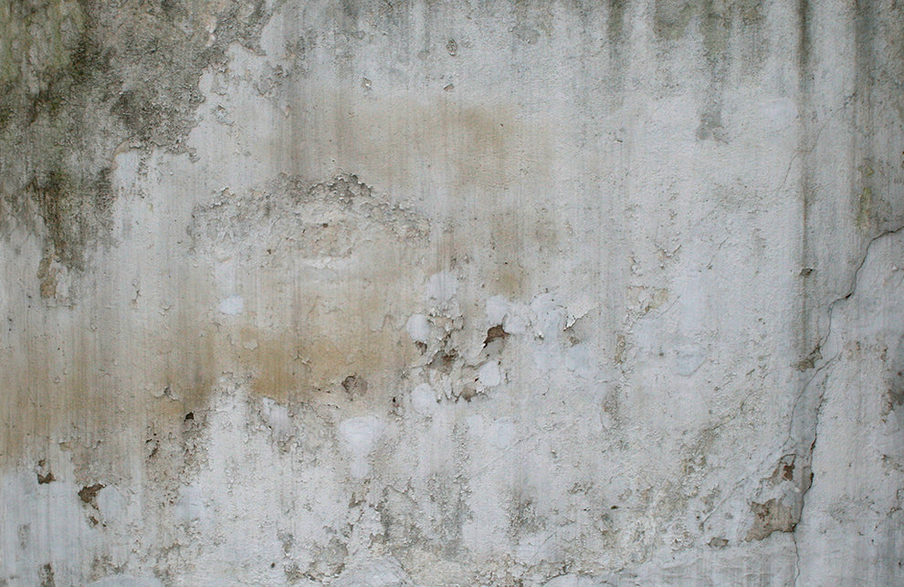 Abstract Neutral Concrete Texture Mural Wallpaper | Ever Wallpaper ...