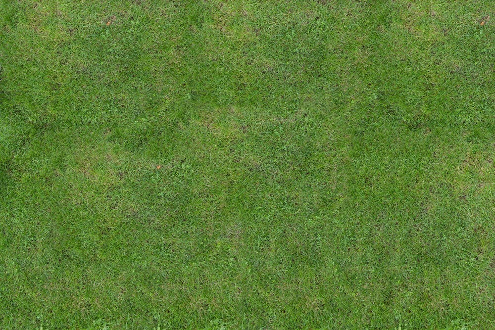 Lush Green Grass Textured Mural Wallpaper | Ever Wallpaper – Everwallpaper