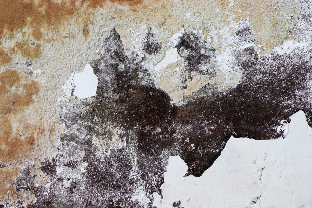Rustic Textured Concrete Mural Wallpaper | Ever Wallpaper – Everwallpaper