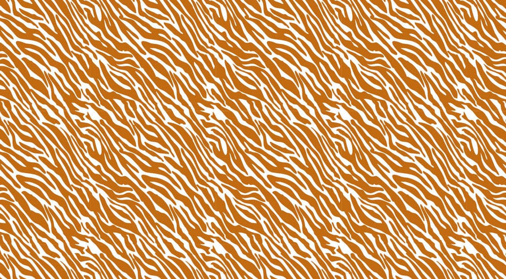 Abstract Orange Zebra Stripe Mural Wallpaper | Ever Wallpaper ...