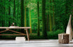 Vibrant Forest Greenery Nature Mural Wallpaper | Ever Wallpaper ...