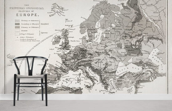 Vintage European Map Monochrome Mural Wallpaper | Ever Wallpaper ...