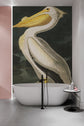 Vintage Pelican Illustration Mural Wallpaper | Ever Wallpaper
