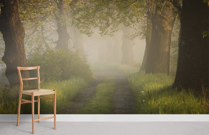 Misty Forest Path Green Mural Wallpaper | Ever Wallpaper – Everwallpaper