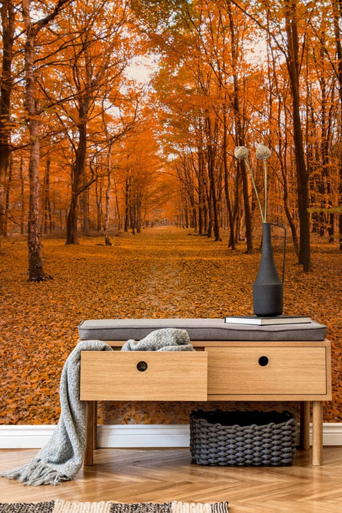 Autumn Forest Path Landscape Mural Wallpaper | Ever Wallpaper ...