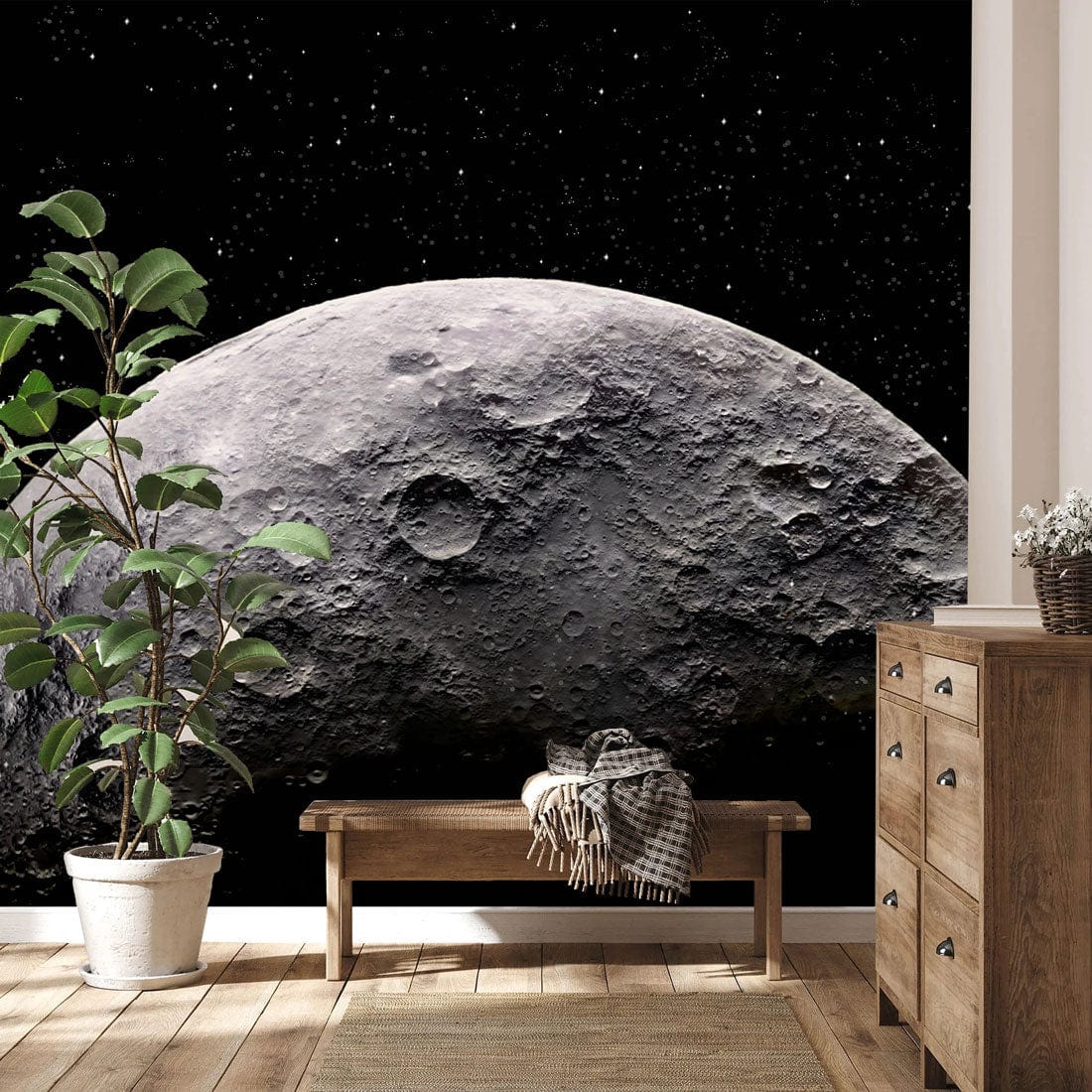 Lunar Surface Dark Space Mural Wallpaper | Ever Wallpaper – Everwallpaper