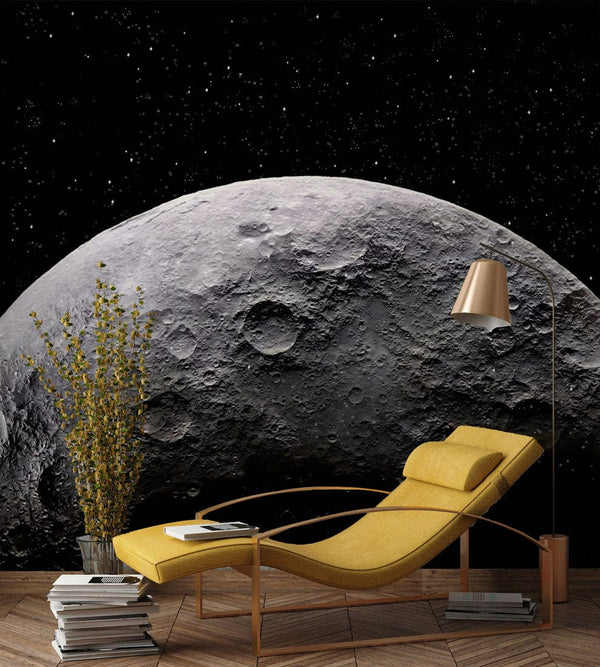 Lunar Surface Dark Space Mural Wallpaper | Ever Wallpaper – Everwallpaper