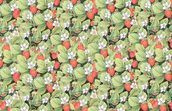 Botanical Strawberry Field Mural Wallpaper | Ever Wallpaper