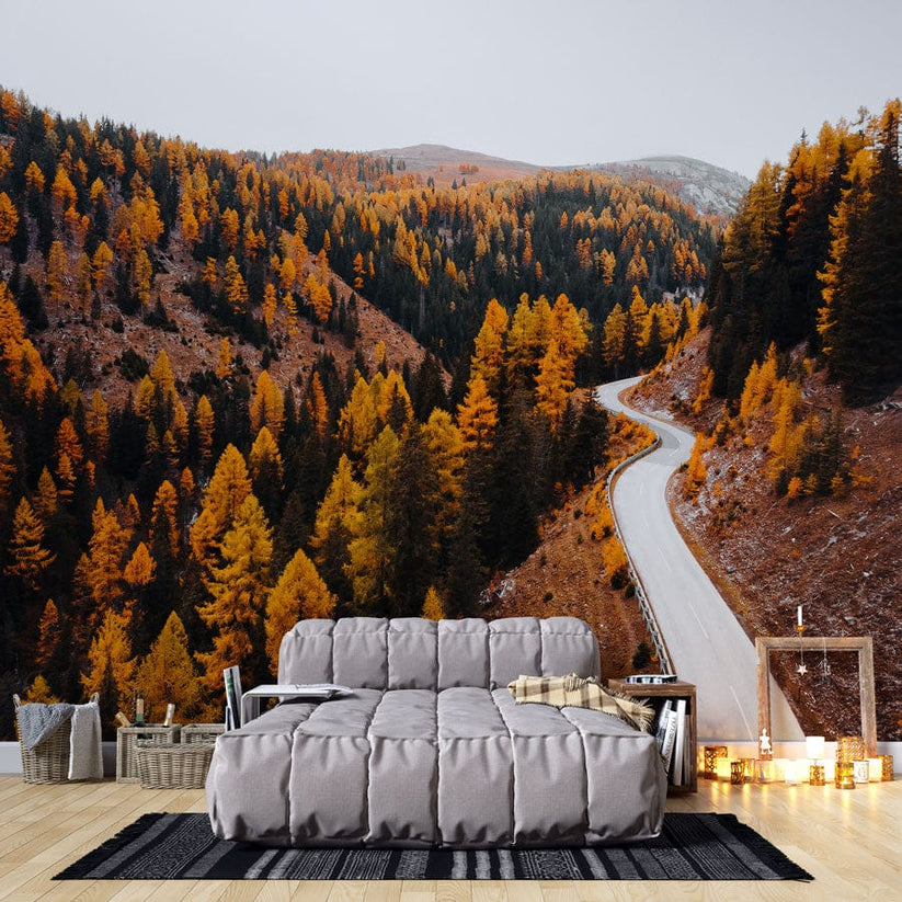 Autumn Forest Road Scenic Mural Wallpaper | Ever Wallpaper – Everwallpaper